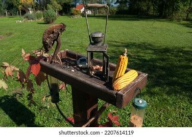 Hundred Bird Feeder Types Royalty Free Images Stock Photos Pictures Shutterstock