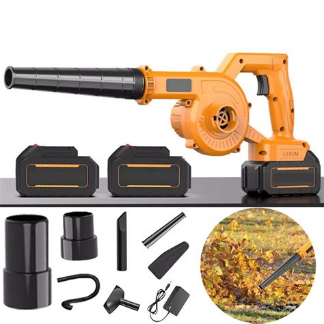 Souffleur De Feuilles Sans Fil 21 V Avec 2 Batteries Souffleur Et