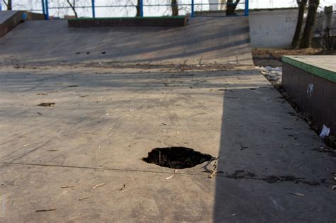 Skeit20252 Черёмуха