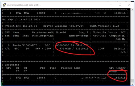Nvidia Smi Shows High Global Memory Usage But Low In The Only Process