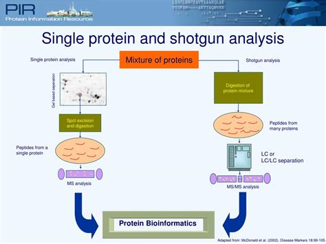 Ppt Protein Sequence Analysis Overview Powerpoint Presentation