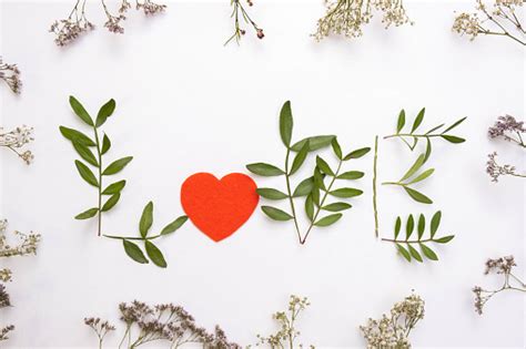 밝은 배경에는 부시 가지 최고 보기로 만든 단어 사랑입니다 2월에 대한 스톡 사진 및 기타 이미지 2월 개념 구도 Istock