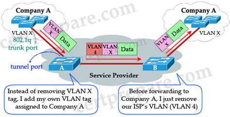 Ensdwi Training Vlan Questions
