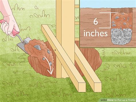 How To Put Up A Trellis 12 Steps With Pictures WikiHow