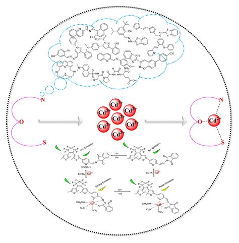 Recent Advancements In Fluorometric And Colorimetric Detection Of Cd2 Using Organic