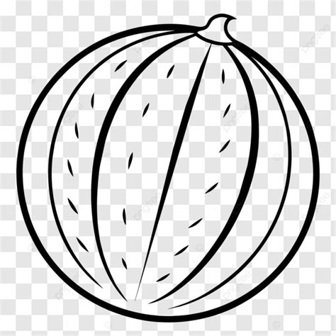 รูปโครงร่างโดยละเอียดของหน้าระบายสีแตงโมสีดำและสีขาว เวกเตอร์ Png หน้าระบายสีแตงโม ลายเส้น