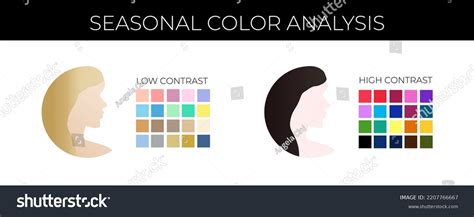 Seasonal Color Analysis Low High Contrast Stock Vector Royalty Free