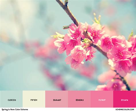 Spring Is Here Color Scheme Image Color Palettes Schemecolor Com