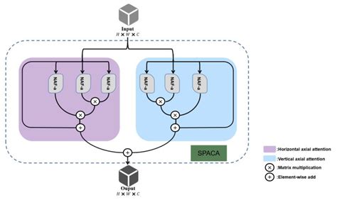Nonlinear Activation Free Contextual Attention Network For Polyp