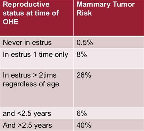 Contraception Flashcards Quizlet