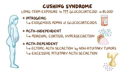 Cushing Syndrome And Cushing Disease Video And Meaning Osmosis