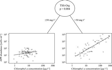 Model Based Recursive Partitioning Of The Relationship Between