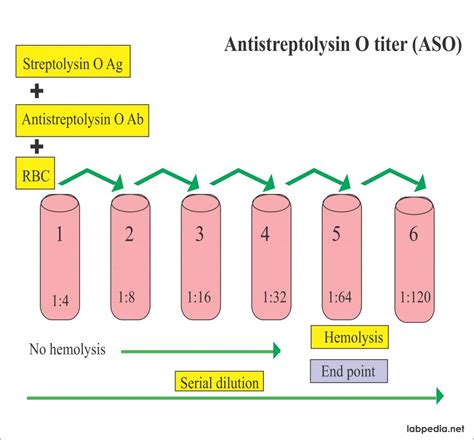 Aso Titer Antistreptolysin O Titer