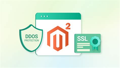 Why Choose Magento 2 Web Hosting Providers With Ddos Protection