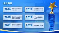 知识卡片长图公司介绍荣誉奖项介绍工作型ppt图片 画册 排版图片素材 花瓣网