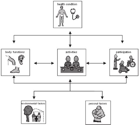 Interactions Between The Components Of Icf In Graphic Symbol Format Download Scientific Diagram