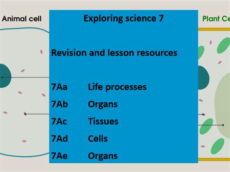 Ks3 Science 7a Cells Revision Exploring Science Working Scientifically Teaching Resources