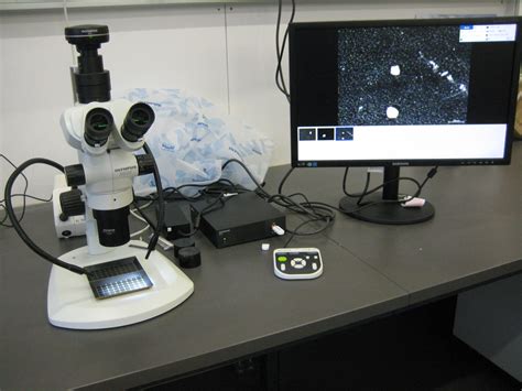 Microscopes