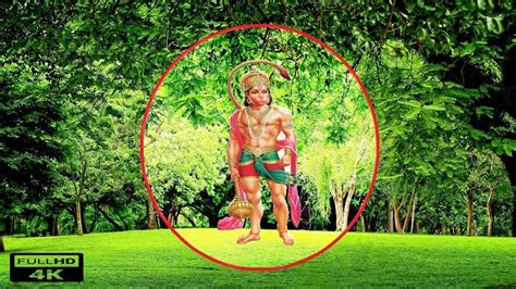 5 Real Leprechaun Caught On Camera Spotted In Real Life 5 Real