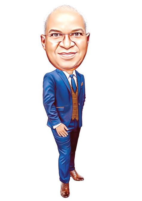 Babatunde Raji Fashola San Tribune Online