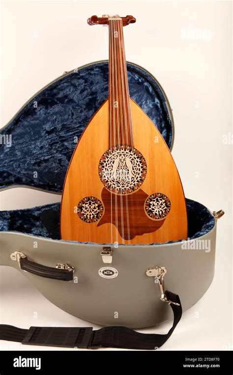 Egyptian Oud 11 String With Highly Decorated Soundholes String