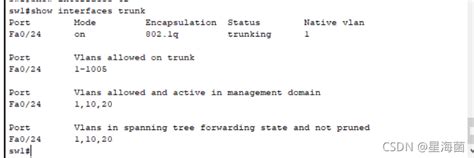 计网实验：单臂路由实现vlan之间的通信详解 cisco packet tracer packet tracer 配置单臂路由器