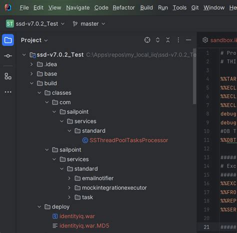 Ssd Trying To Setup Sandox Iiq Discussion And Questions Sailpoint