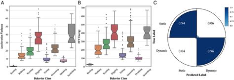 Preliminary Status Classifier And Combined Segmentation Result A The
