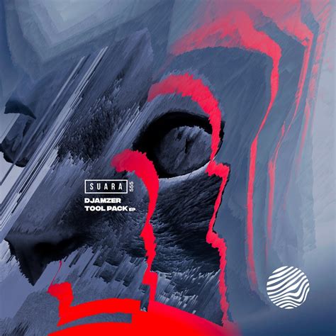 Djamzer Tool Pack Ep Suara Music And Downloads On Beatport