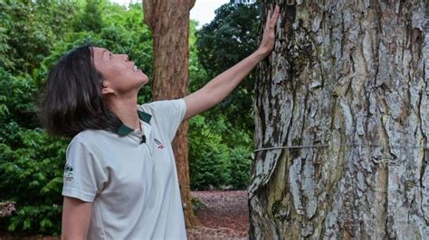 James Lau On Linkedin From ‘boring To ‘sexy Subject Tree Doctor Who Learnt How Trees Speak…