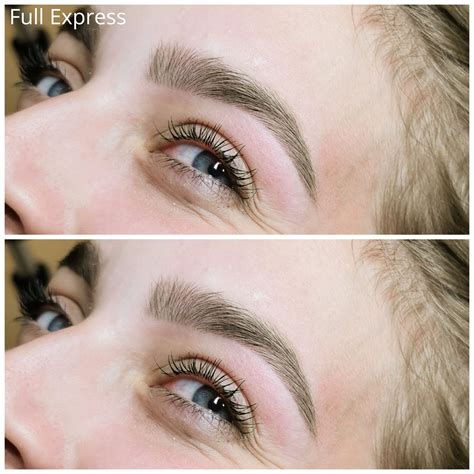 Home The Brow Express