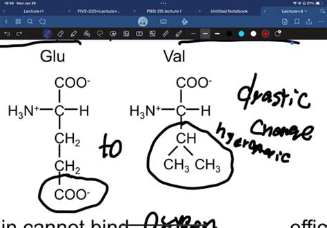 lecture set 4 flashcards quizlet