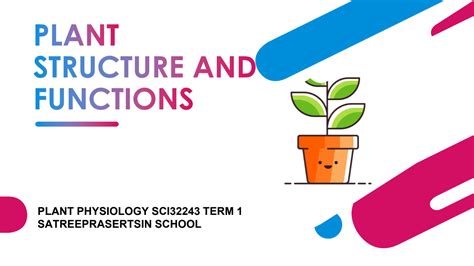 Solution Bz 440 Plant Physiology Lecture Notes Lesson 1 Plant Structure And Function Part 1