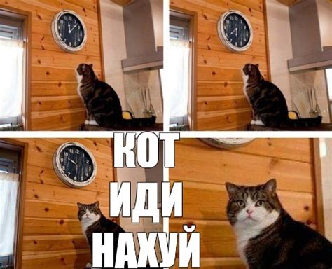 Комикс мем КОТ ИДИ НАХУЙ Комиксы Meme