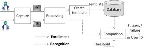 Architecture Of Cancelable Biometric System Download Scientific Diagram