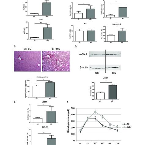 Activation Markers Cd69 And Cd44 Are Increased Under Metabolic Stress