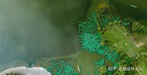人品虽好，但不值得托付的三大星座，一生钟情于自由，难以安定 知乎