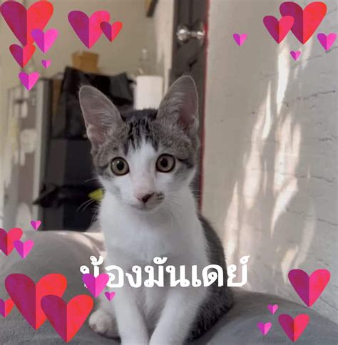 ผู้ชายโทรมา 🤣🤣🤣 ฟีด มาแรง รายการบันเทิง คลิปตลกฮาๆ ขำ ฟีด Reels ดูให้จบ การแสดง 1m