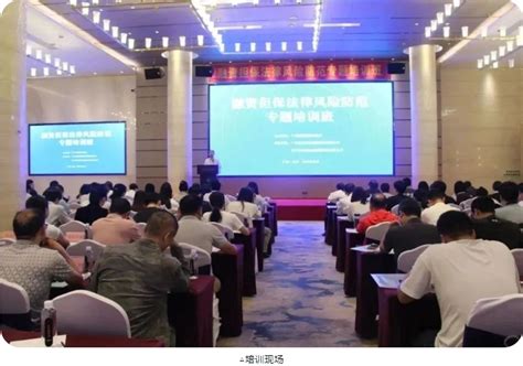 广西融资担保业协会