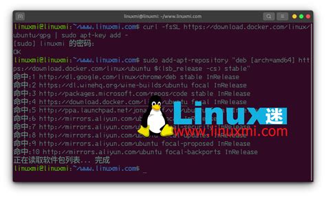 在 ubuntu 上安装 docker 分步图文指南 linux迷