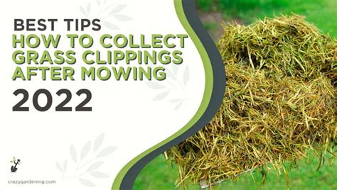 Best Ways To Collect Grass Clippings Stop Lawn Chaos 2026
