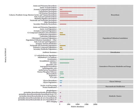 The Species Pathway Enrichment Analysis Of Intestinal Microflora In The