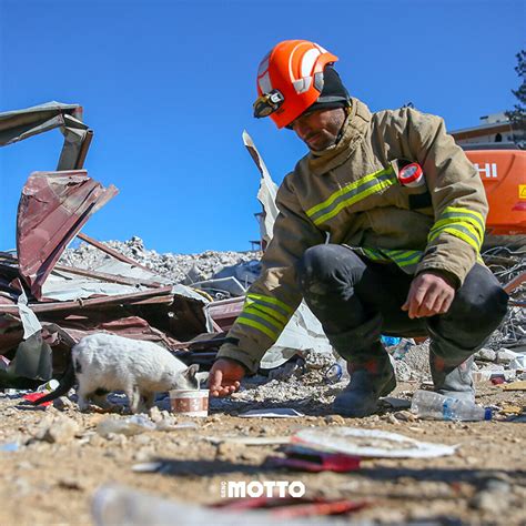 Hardhat Dataset Turkey Earthquake Object Detection Dataset And Pre Trained Model By Muhammet