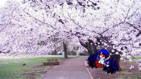 Video Game Level Up Series Part 3 Youtube