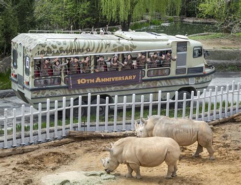 에버랜드 로스트밸리 10주년 스페셜 프로그램 운영