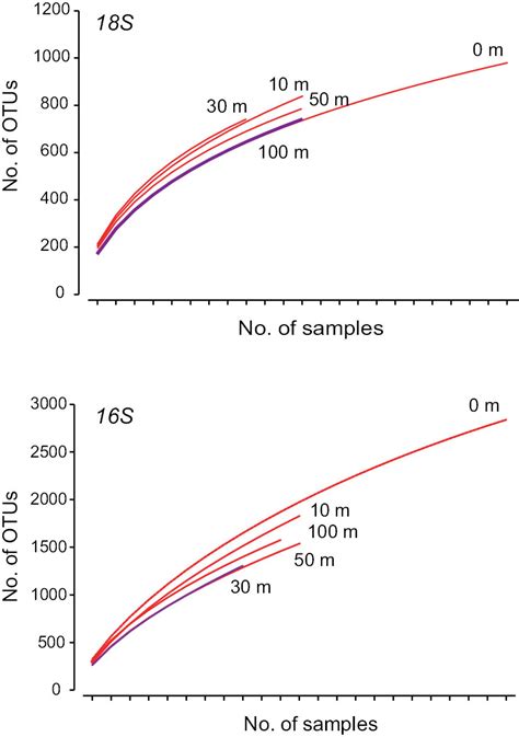 Sample Based Rarefaction Curves Of Each Sampling Depth Layer Of Download Scientific Diagram