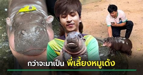 เบนซ์ อรรถพล จากคนขับรถบรรทุก สู่ผู้ดูแล หมูเด้ง ฮิปโปไวรัลระดับโลก