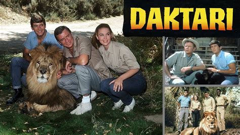 Images De Daktari 1966 Senscritique