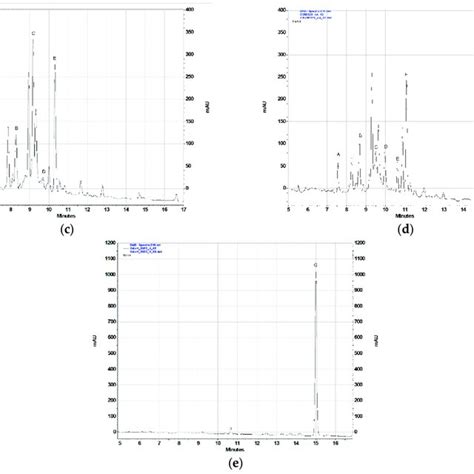Chromatographic Separation Rp Hplc Dad λ 205 Nm Of C Divaricatum Download Scientific