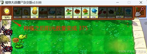 Python 开发植物大战僵尸杂交版辅助【全网最详细查找 代码编写一体化零基础也能学会】植物大战僵尸辅助 Csdn博客